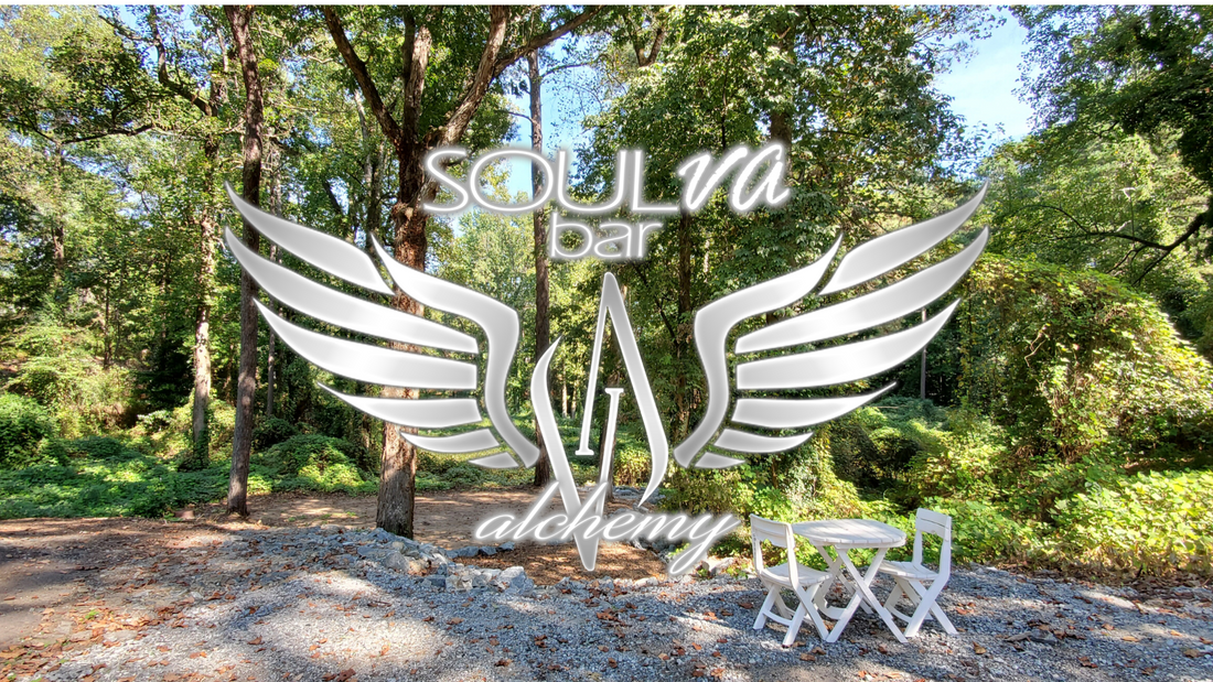 Shop with VANDA – ShopwithVanda